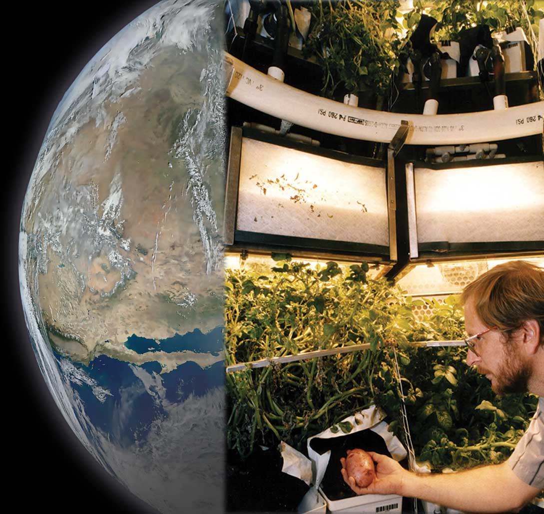 NASA Plant Research Offers a Breath of Fresh Air